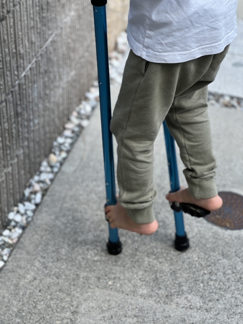 Japan's TAKEUMA: Origins and Its Benefits - JAPANESE TRIVIA